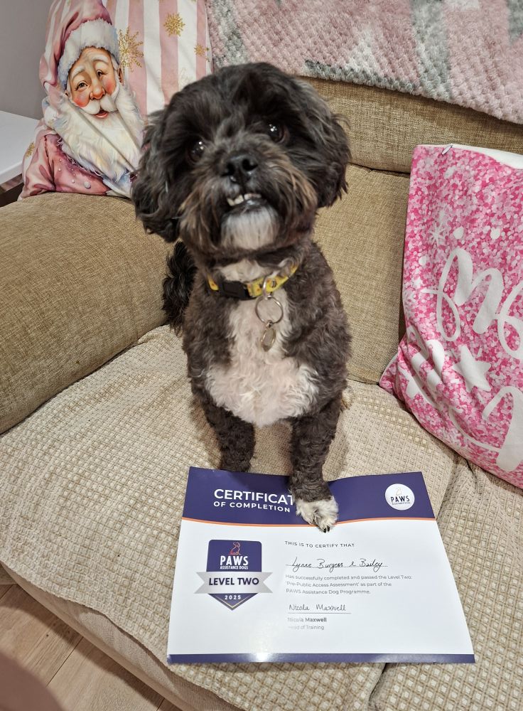 PAWS Assistance Dogs | Guided Assistance Dog Programme UK